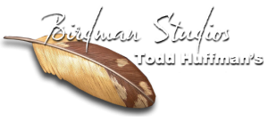Duck Mounts by Birdman Studios – Birdman Studios