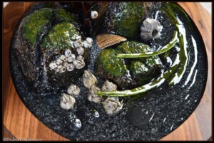 Harlequin Mounts by Birdman Studios – Birdman Studios