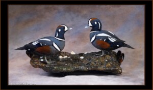 Harlequin Mounts by Birdman Studios – Birdman Studios