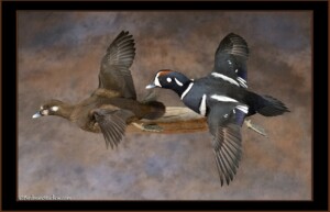 Harlequin Mounts by Birdman Studios – Birdman Studios