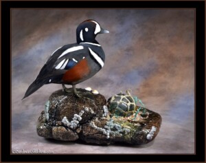 Harlequin Mounts by Birdman Studios – Birdman Studios