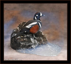 Harlequin Mounts by Birdman Studios – Birdman Studios