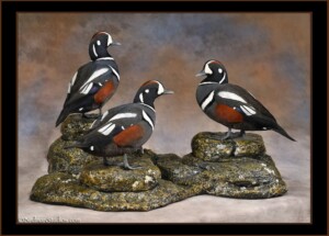 Harlequin Mounts by Birdman Studios – Birdman Studios