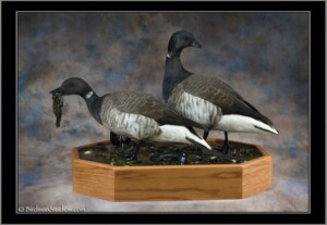 Brant Mounts by Birdman Studios – Birdman Studios