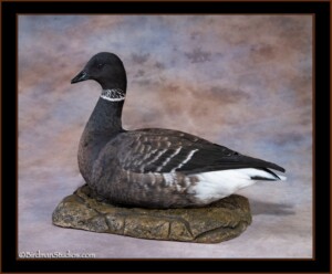 Brant Mounts by Birdman Studios – Birdman Studios