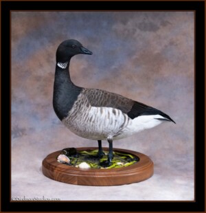 Brant Mounts by Birdman Studios – Birdman Studios