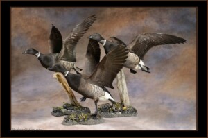 Brant Mounts by Birdman Studios – Birdman Studios