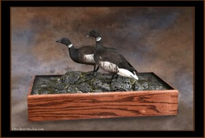 Brant Mounts by Birdman Studios – Birdman Studios