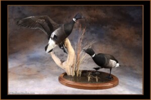 Brant Mounts by Birdman Studios – Birdman Studios